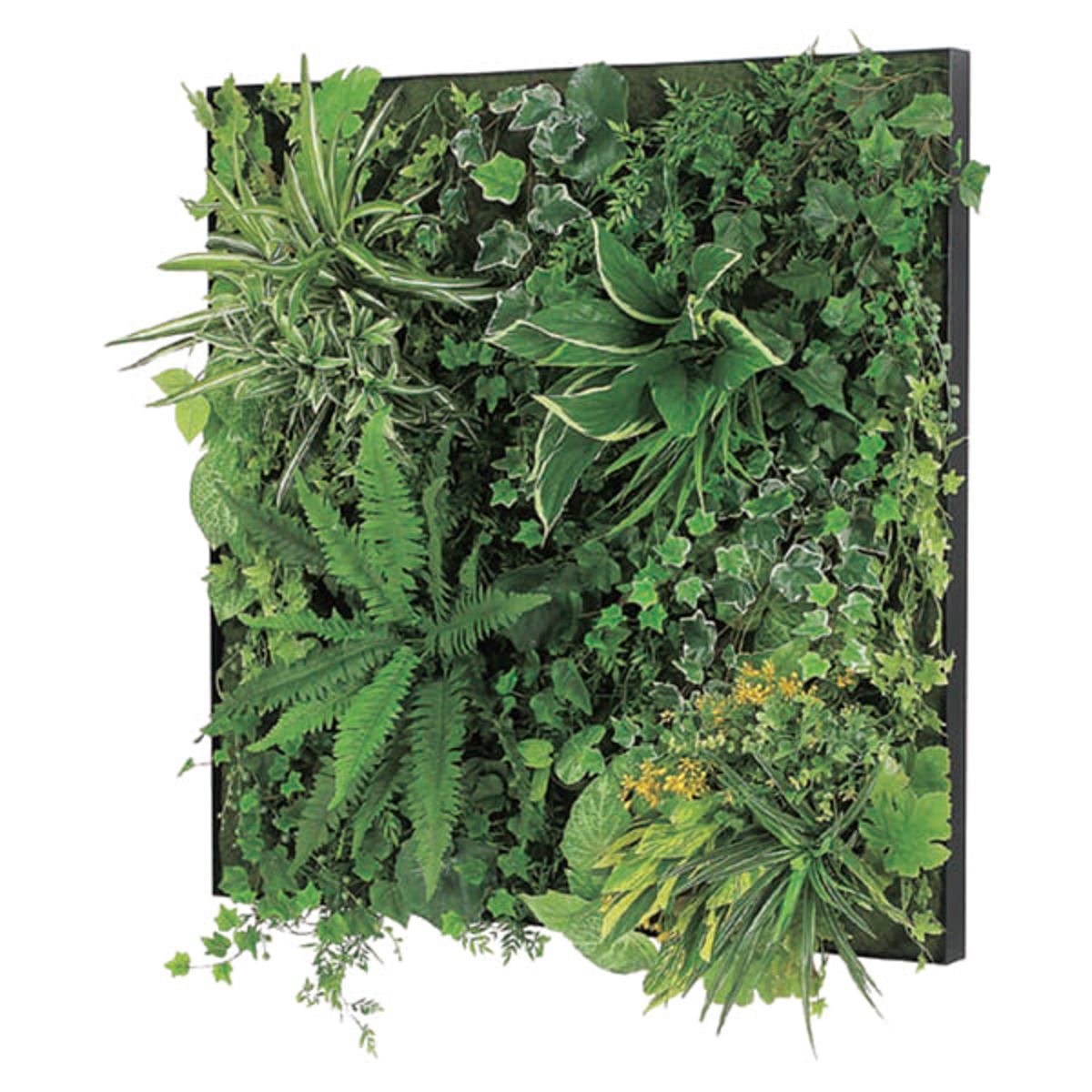 ハストネット公式サイト