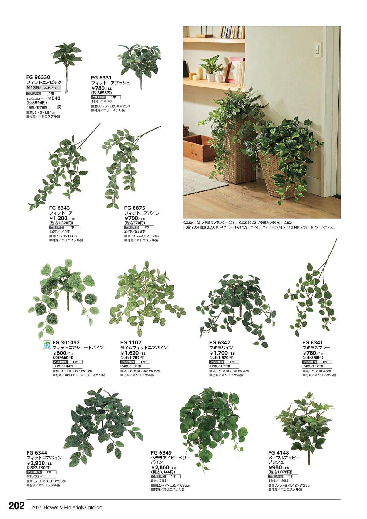 東京堂（TOKYODO）カタログ P202 P203