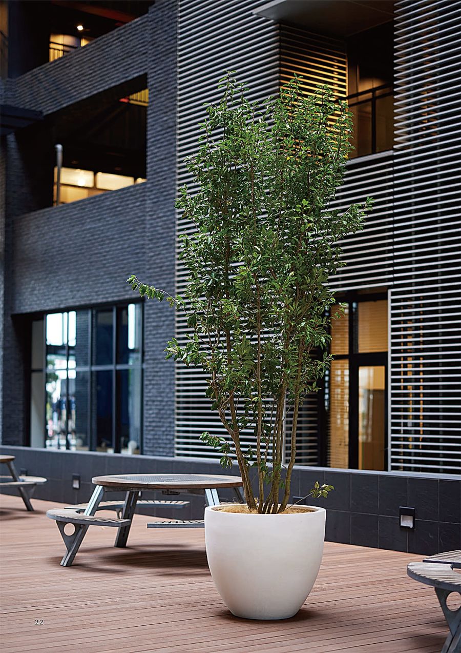 Yamatei・ヤマテーカタログ【HUSTNET】 P22 P23