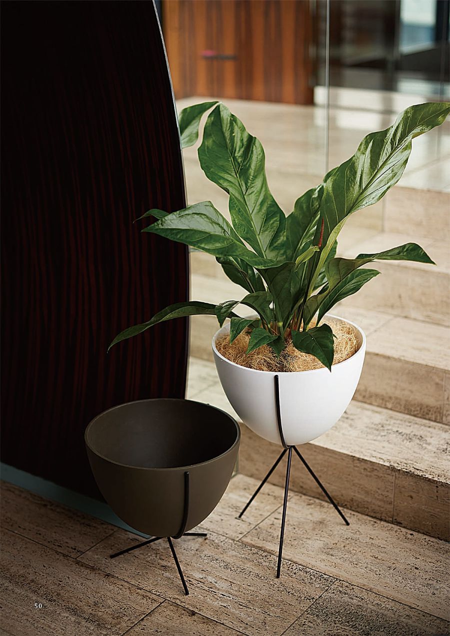 Yamatei・ヤマテーカタログ【HUSTNET】 P50 P51