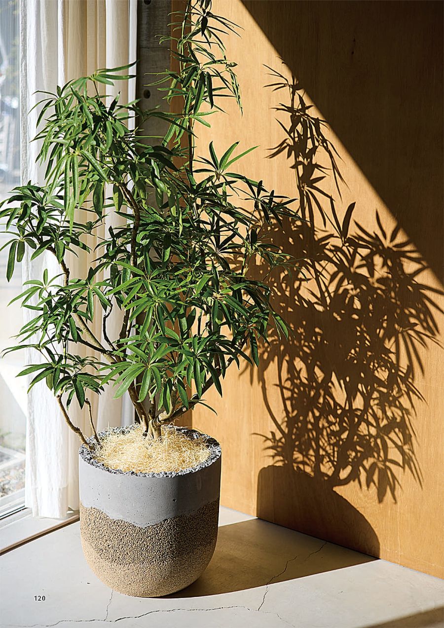 Yamatei・ヤマテーカタログ【HUSTNET】 P120 P121