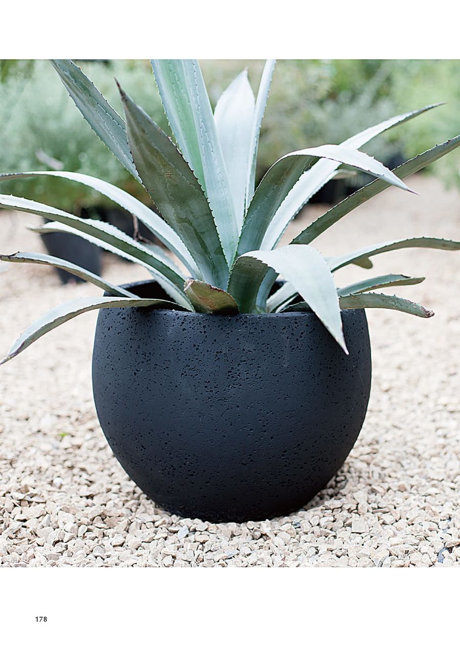 Yamatei・ヤマテーカタログ【HUSTNET】 P178 P179