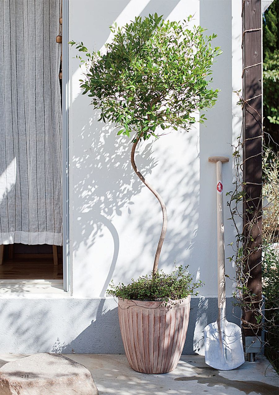 Yamatei・ヤマテーカタログ【HUSTNET】 P238 P239