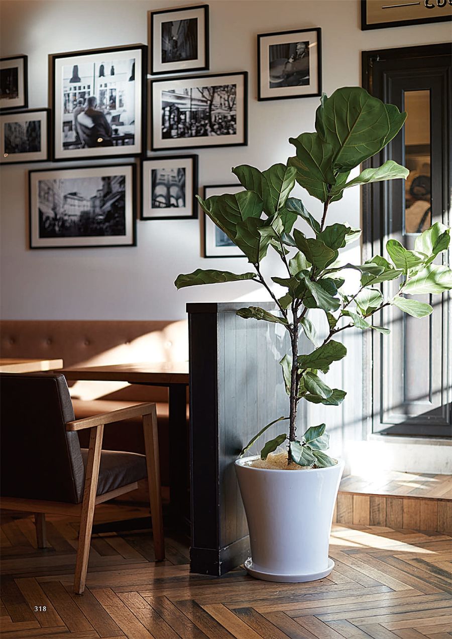 Yamatei・ヤマテーカタログ【HUSTNET】 P318 P319