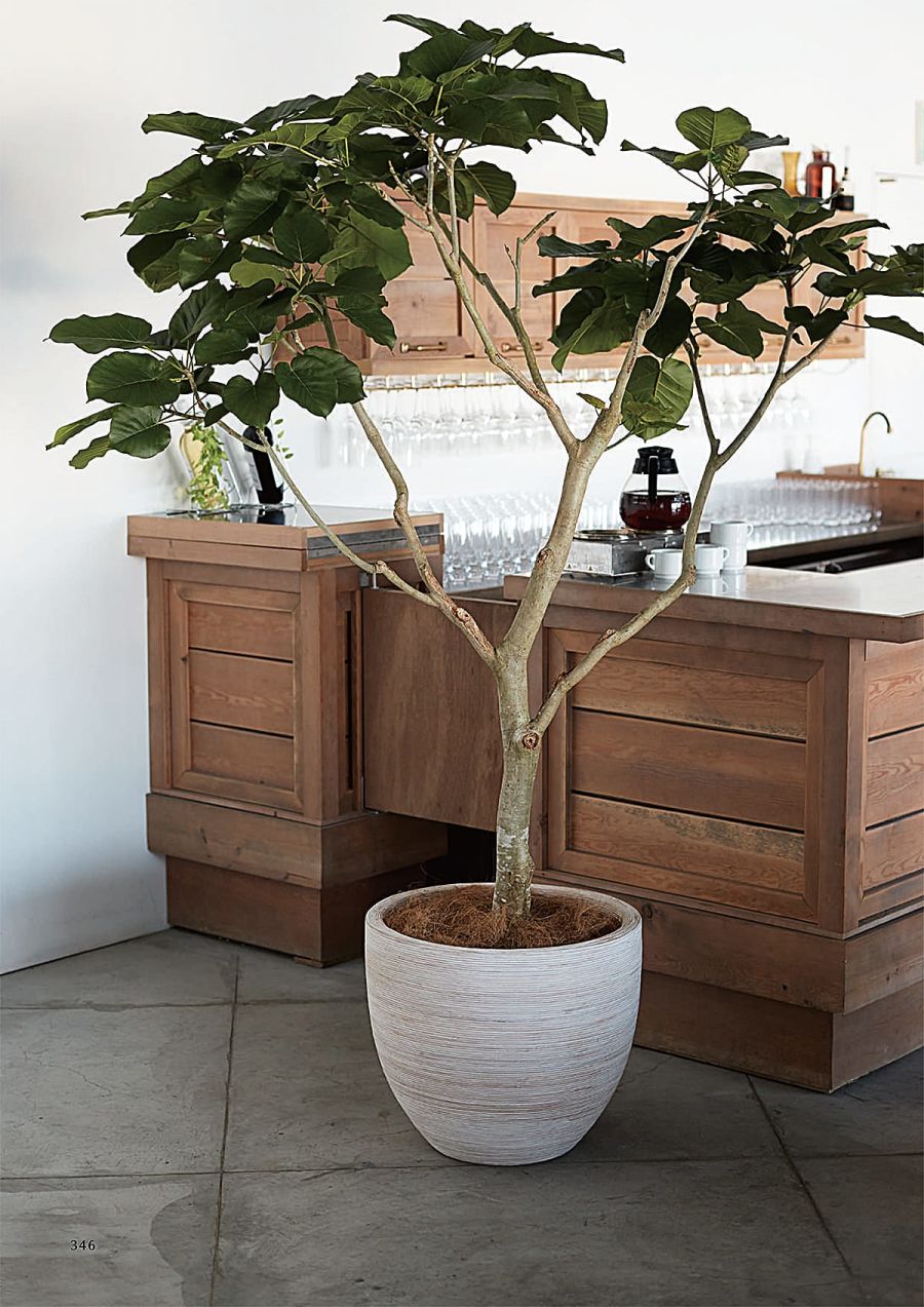 Yamatei・ヤマテーカタログ【HUSTNET】 P346 P347