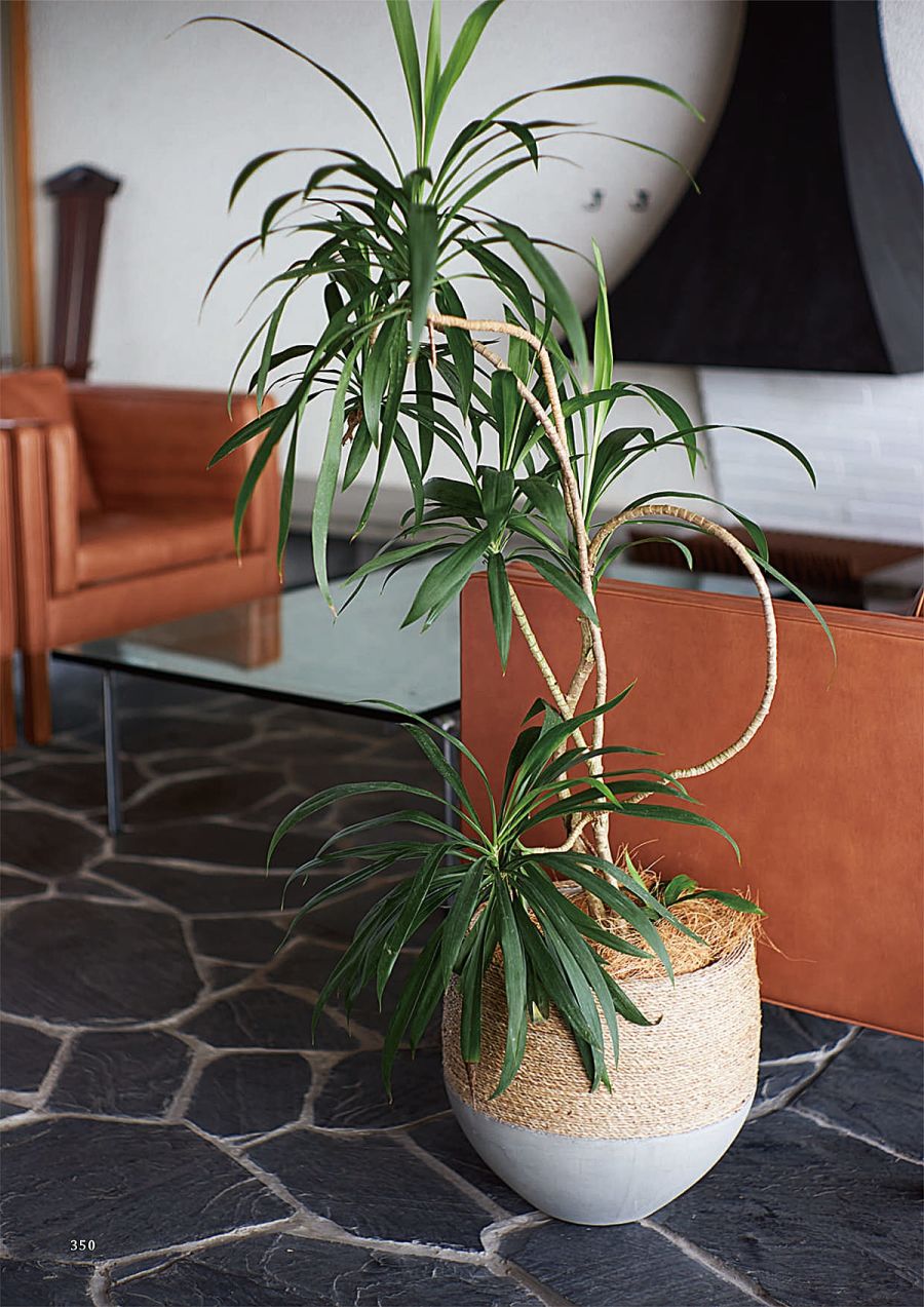 Yamatei・ヤマテーカタログ【HUSTNET】 P350 P351