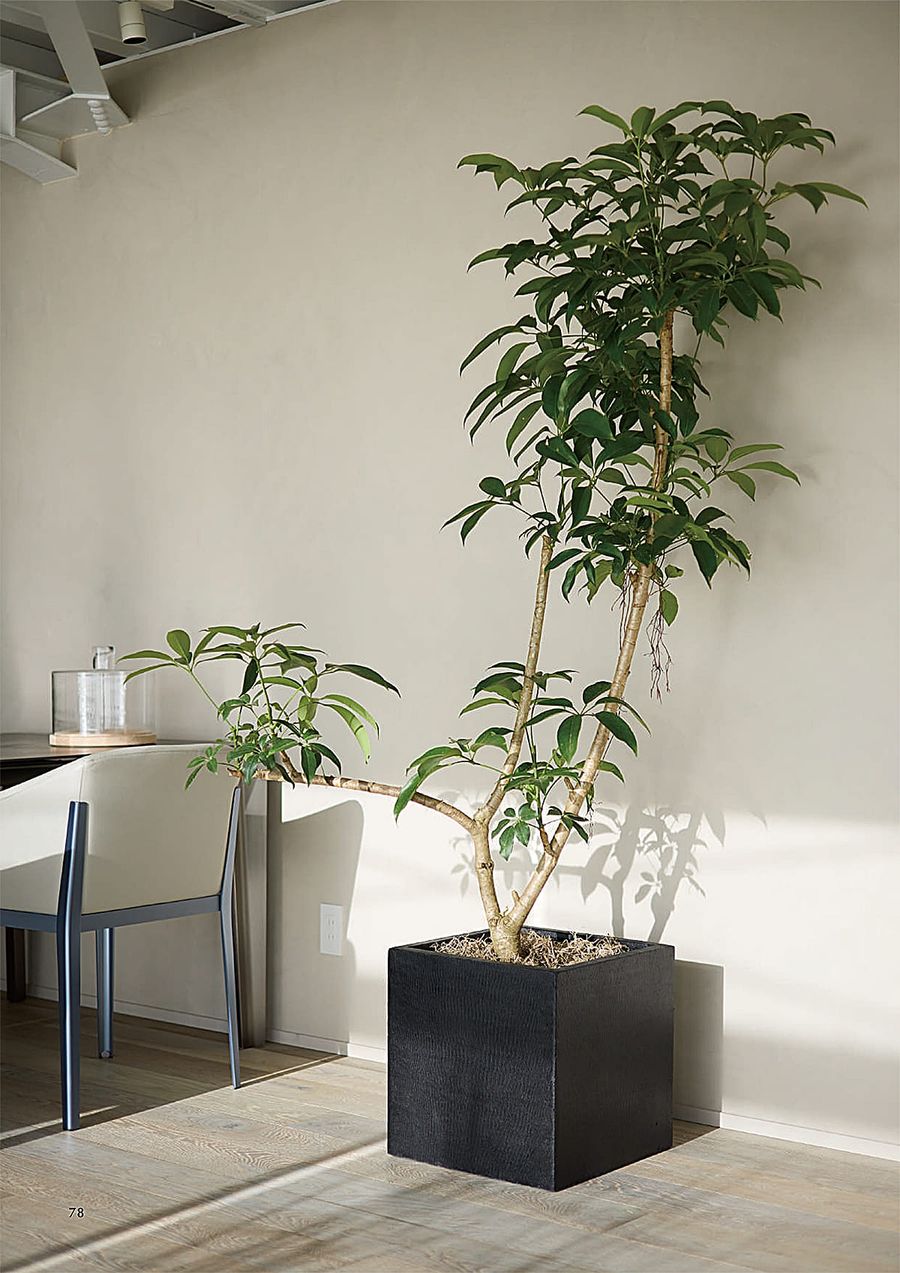 Yamatei・ヤマテーカタログ【HUSTNET】 P78 P79