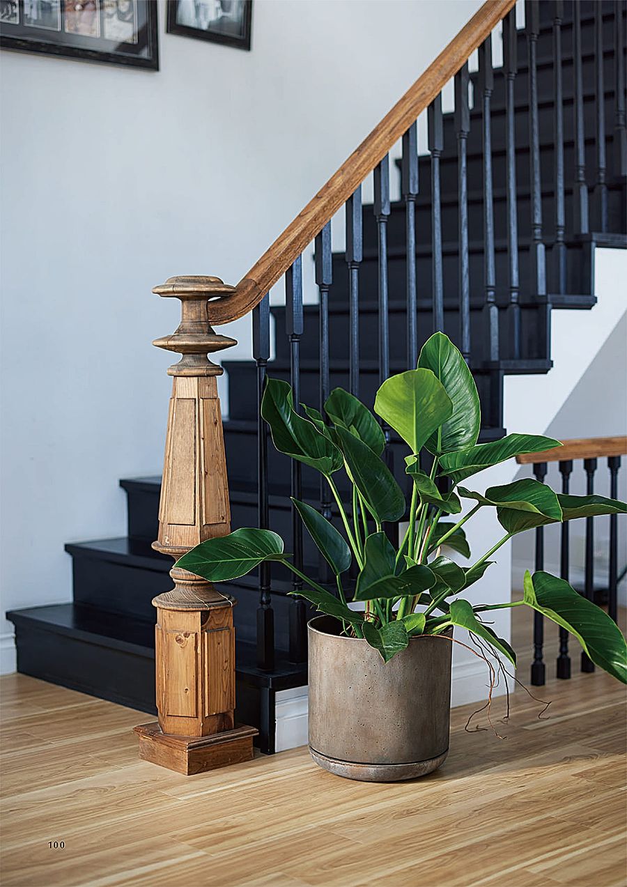 Yamatei・ヤマテーカタログ【HUSTNET】 P100 P101