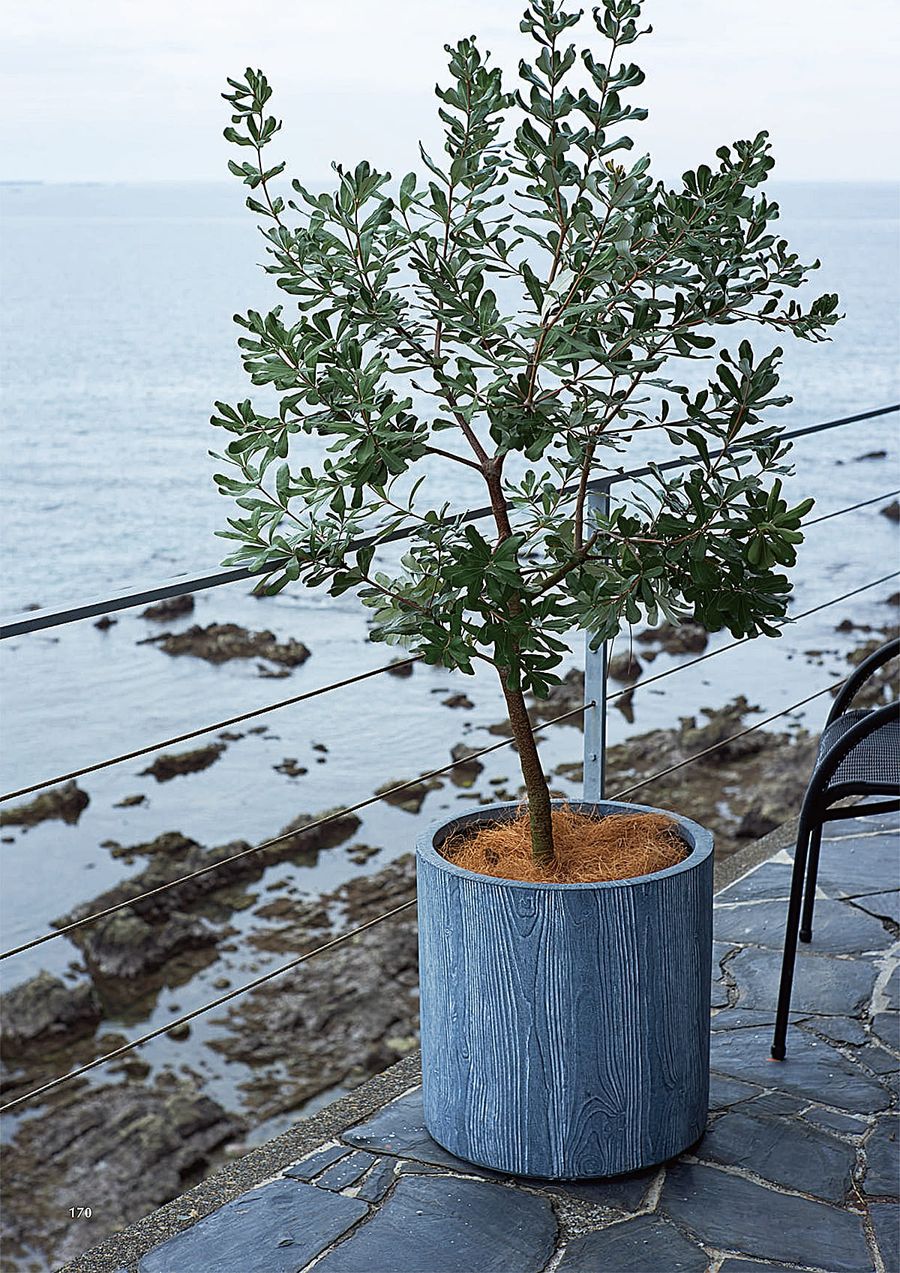 Yamatei・ヤマテーカタログ【HUSTNET】 P170 P171