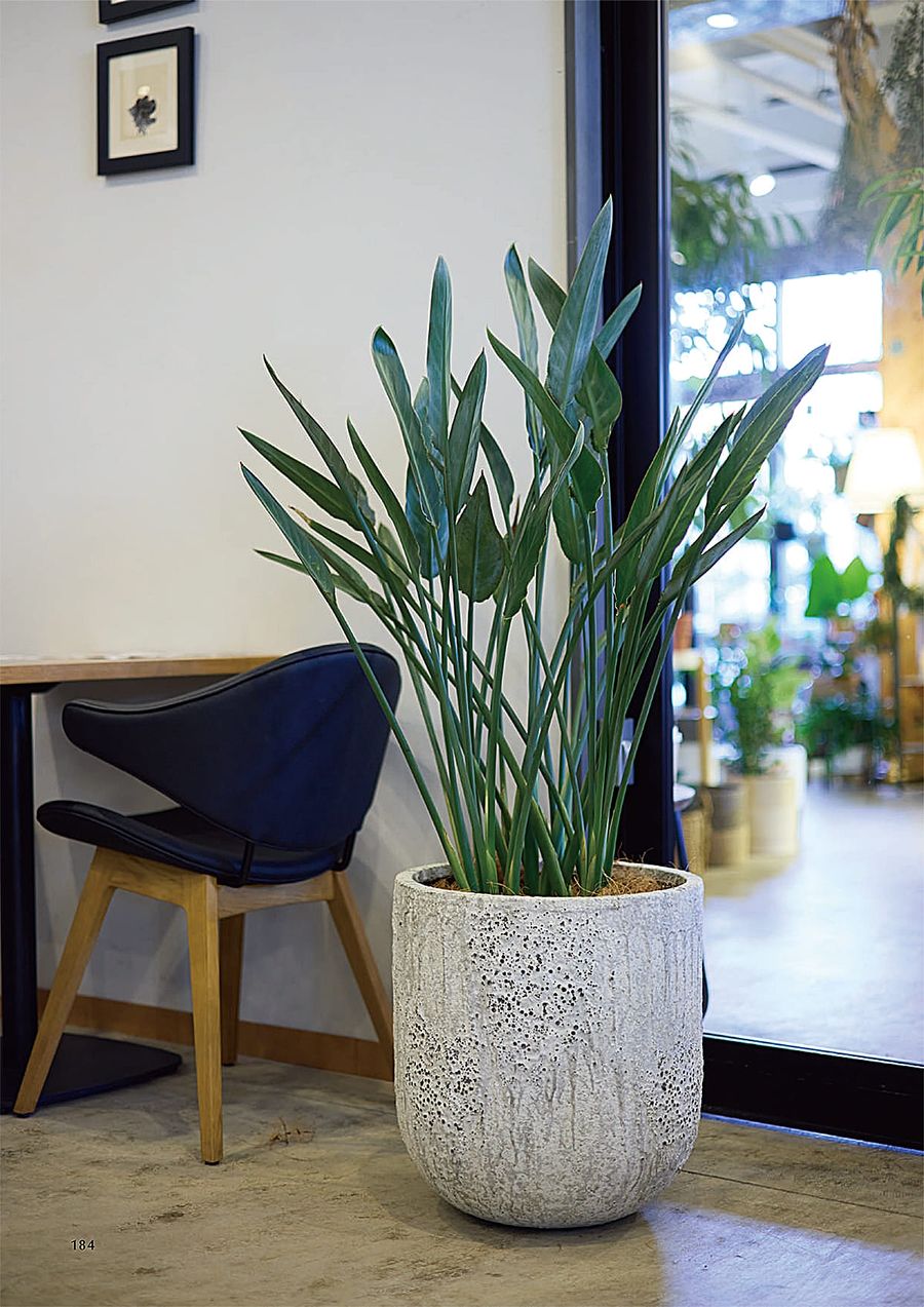 Yamatei・ヤマテーカタログ【HUSTNET】 P184 P185