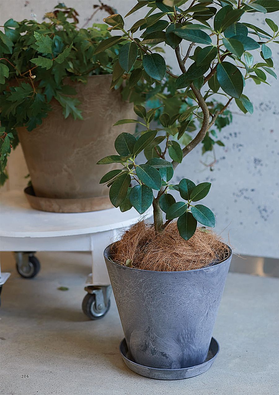 Yamatei・ヤマテーカタログ【HUSTNET】 P206 P207