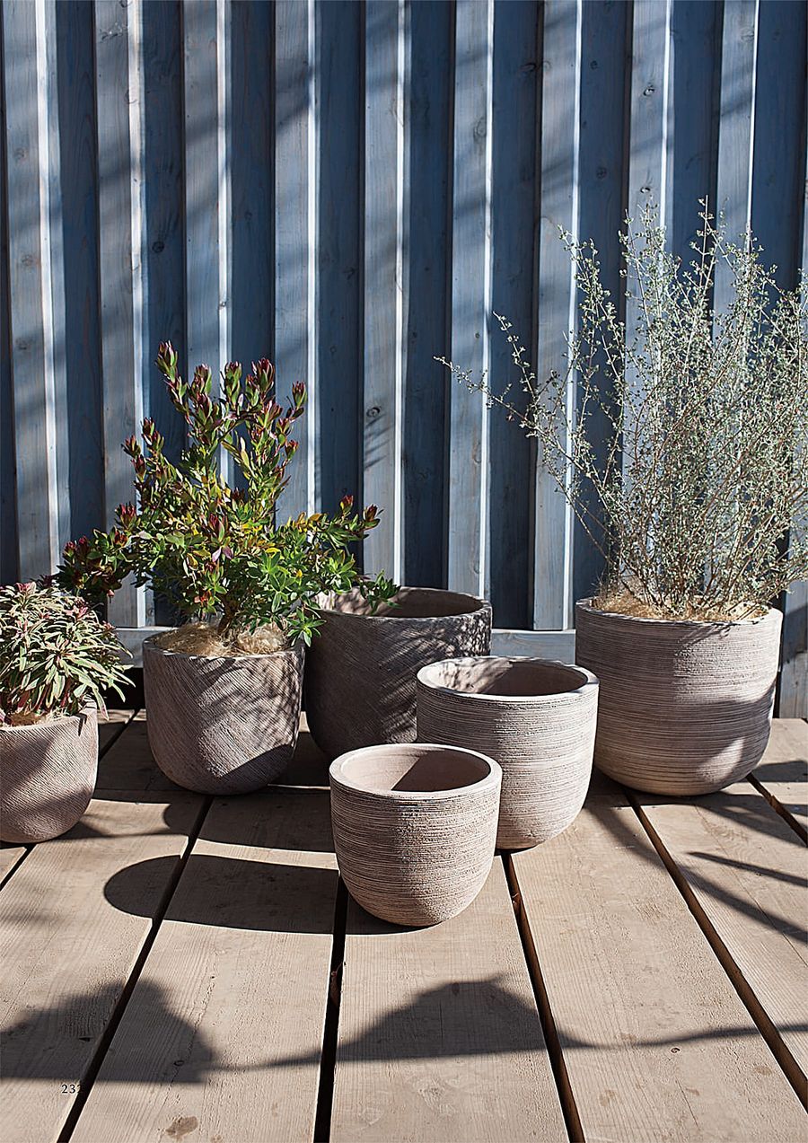 Yamatei・ヤマテーカタログ【HUSTNET】 P232 P233