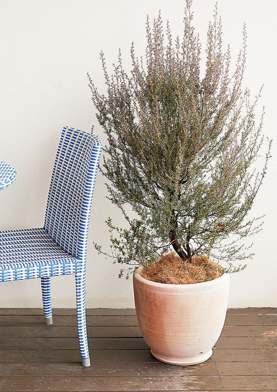 Yamatei・ヤマテーカタログ【HUSTNET】 P236 P237